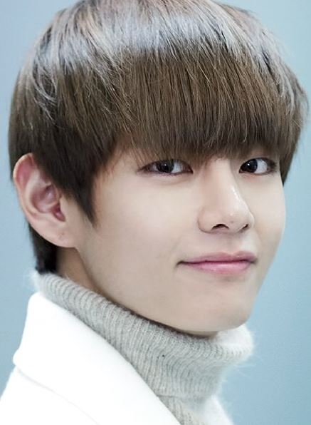 25 facts of V – WELCOME TO THIS BLOG